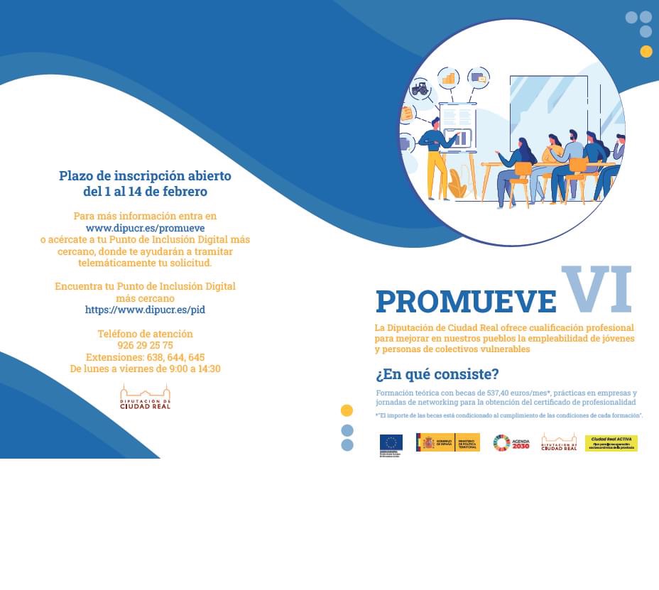 Programa PROMUEVE VI