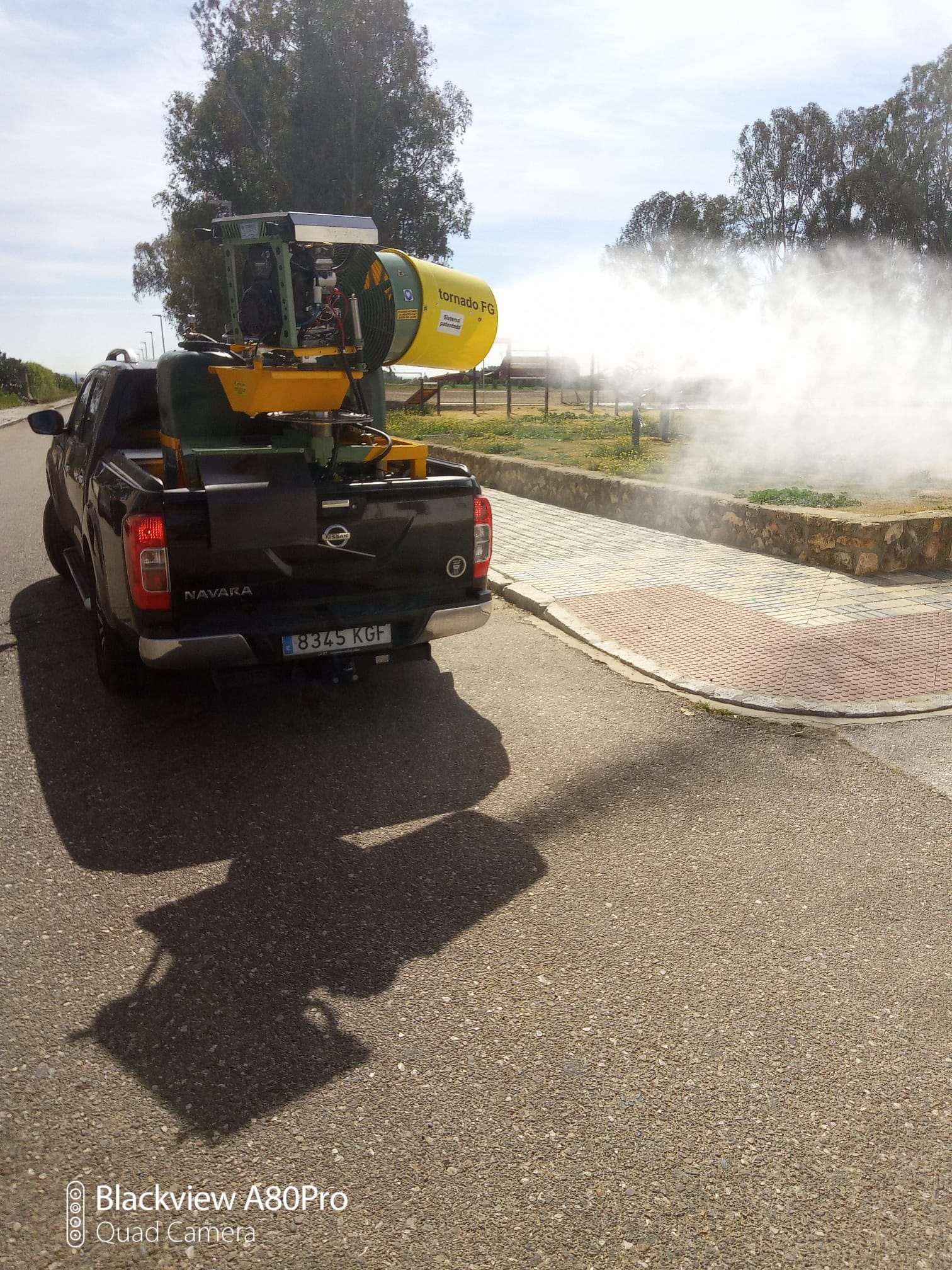 TRATAMIENTO INSECTICIDA