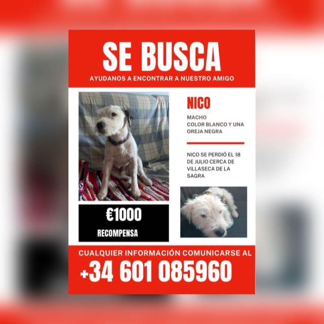 ¡SE BUSCA! 🔵🔴