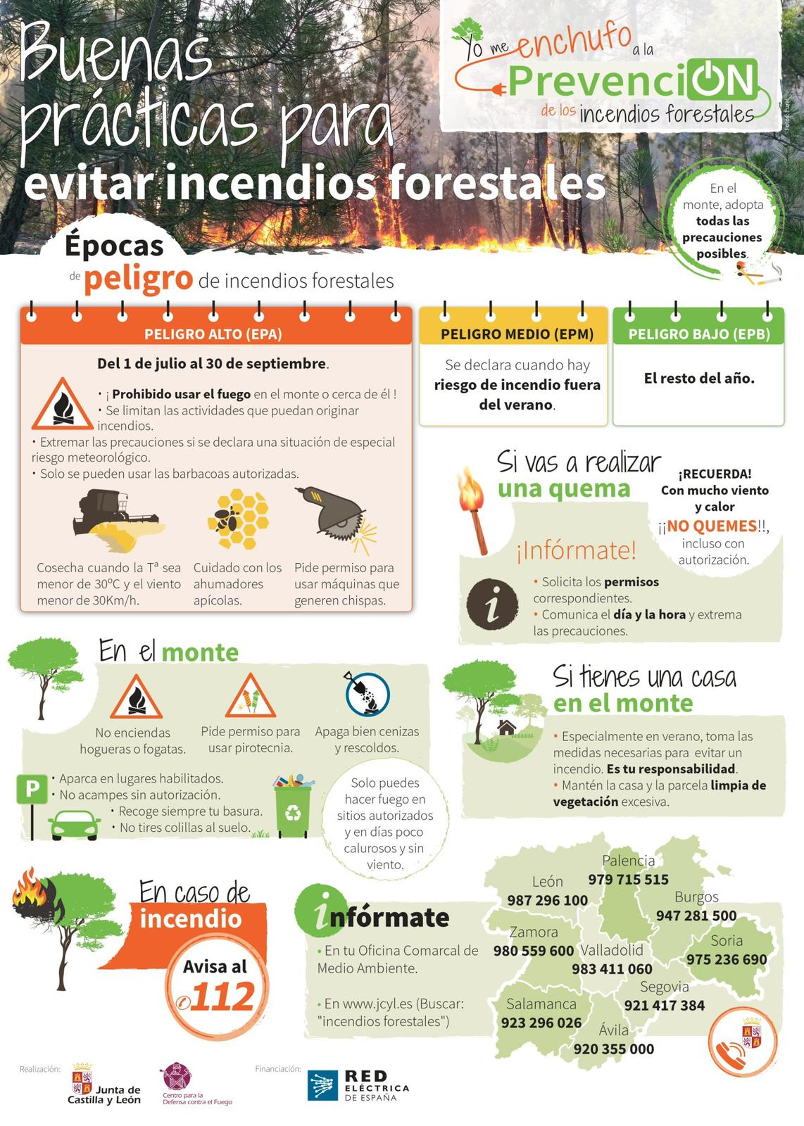 Guía para evitar incendios forestales