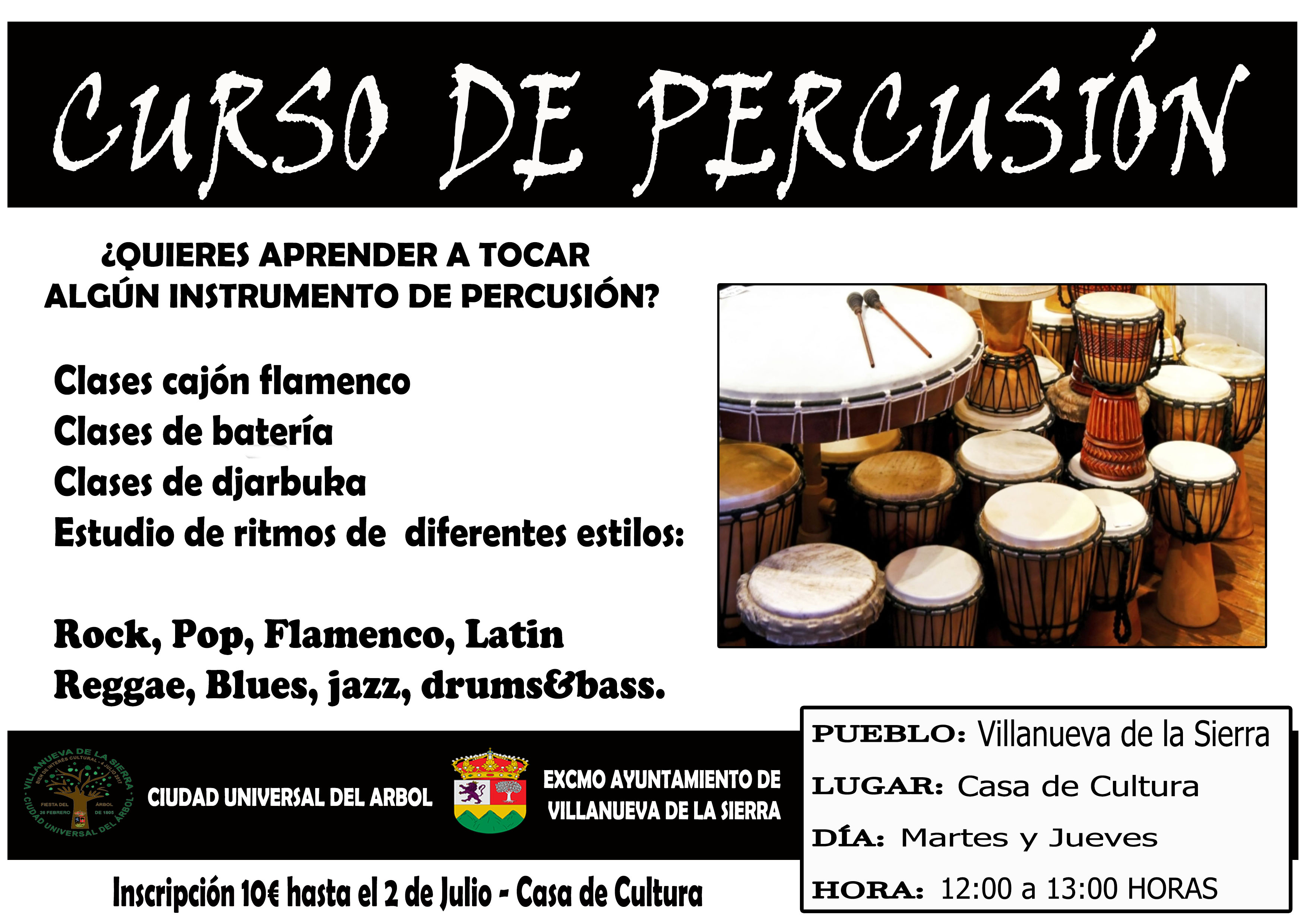 CURSO DE PERCUSIÓN EN VILLANUEVA DE LA SIERRA